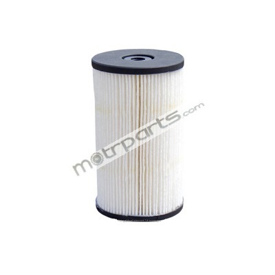 Laura Diesel's Instagram, Twitter & Facebook on IDCrawl