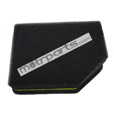 Buy Genuine Mahindra XUV 500 Air Filter - Motrparts