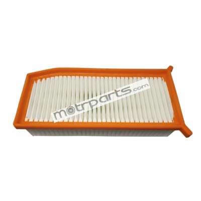 Buy Genuine Nissan kicks Air Filter - Motrparts